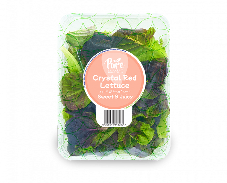 Crystal Red Lettuce Pure Harvest